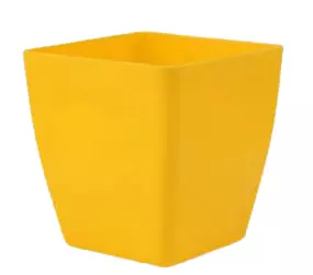 Buy Gamla 2 Inch Polypropylene Yellow Square Blossom Pot Fresh Online ...