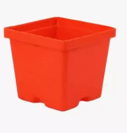 Buy Gamla 4 Inch Polypropylene Orange Square Gift A Pot Fresh Online in ...
