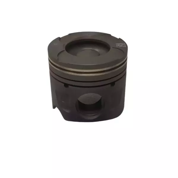 Buy Tata Motors SET BARE PISTON 207DI/SPACIO BSII&BSIII for SUMO SPACIO ...