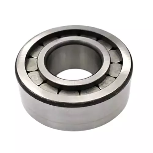 Buy INA 30 mm I.D Cylindrical Roller Bearing, 72 mm O.D, SL192306 Online at Best Prices ...