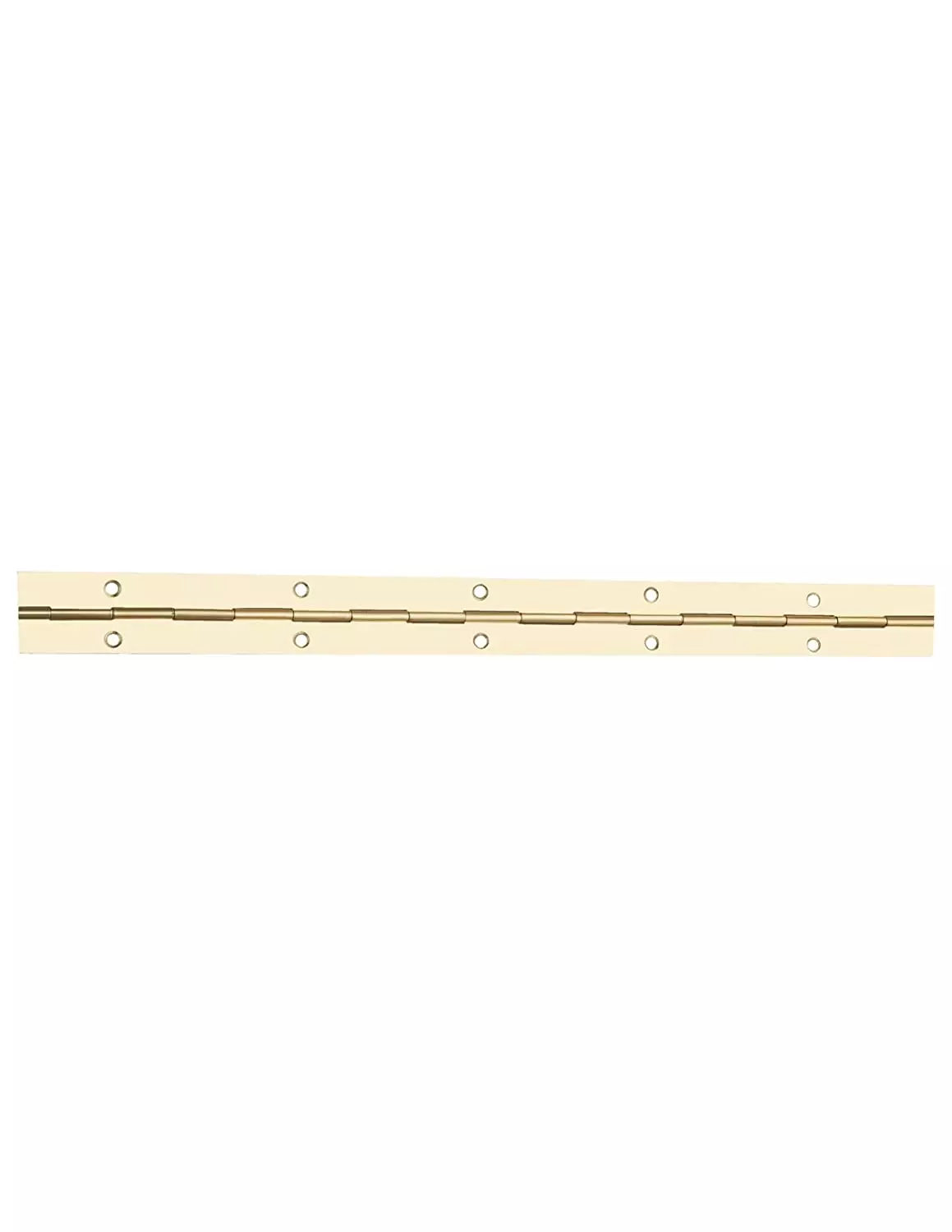 Buy Hooks&Hinges Continuous Hinge Brass Effect on Iron 23.5 inches 10 ...