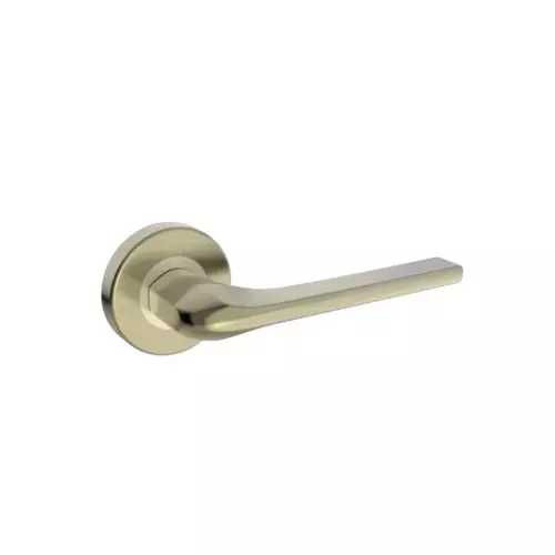 Buy Godrej Rossete Door Handle 2C EM 02 Antique Brass, 9518 Online at ...