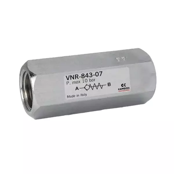 Buy Damor 1/4 Inch Non Return Valve CV02 Online in India at Best Prices