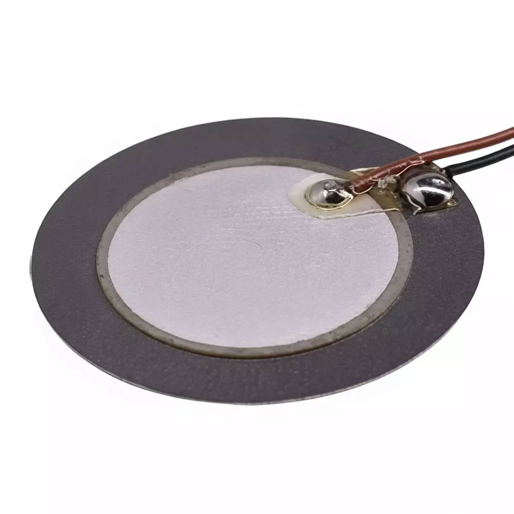 Buy Same Sky Buzzers Piezoelectric Type 20 mm Diameter 30 V Voltage ...