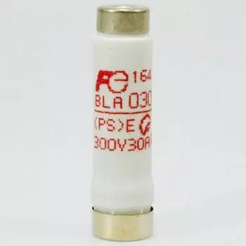 Buy Fuji Electric Plug Type Fuse, Fuse Link (Fuse Cylinder) 8513951 ...