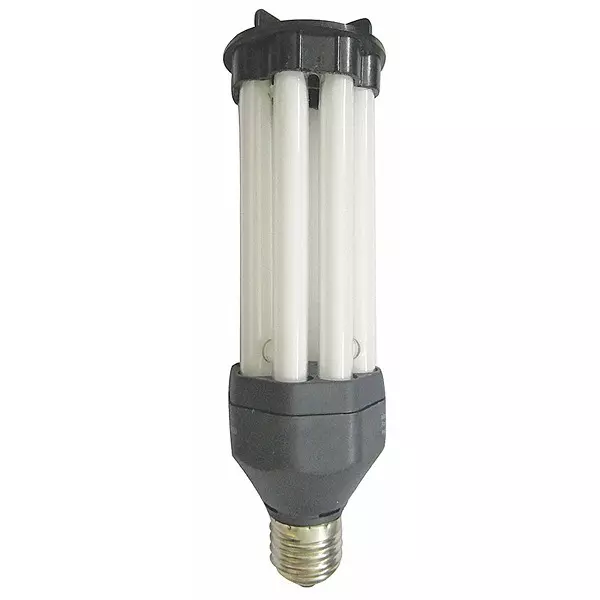 Buy Westward Blacklight Bulb 40 W U-Shape, 36RF98 Online in India at ...