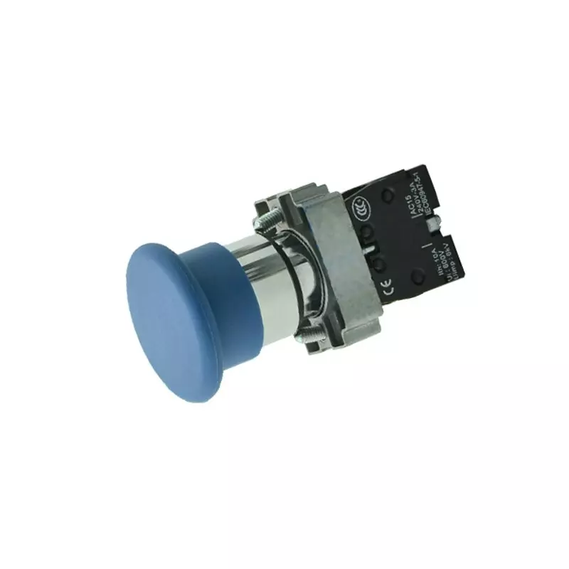 Buy Chint Blue Momentary Mushroom Pushbutton 2no G Np2 Bc63 Online In