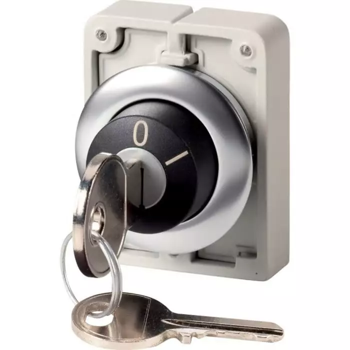 Buy EATON IP64 Key Switch 2-Way Flat-Key, 188164 M30I-FWRS-RS Online at ...
