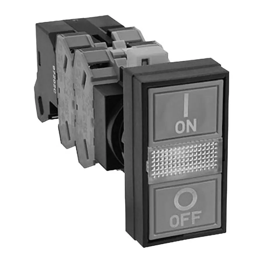 Buy IDEC HW Series 2-Point Push Button Switch (LED with Indicator Light ...