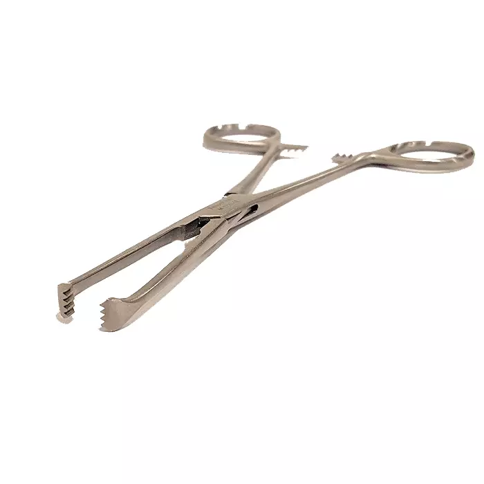 Buy FusionKraft Allis Tissue Holding Forceps, (One each of 6 Inch & 8 ...