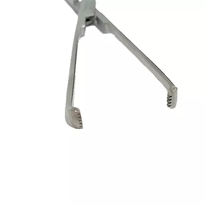 Buy FusionKraft Stainless Steel Allis Tissue Holding Forceps, 9 Inch ...