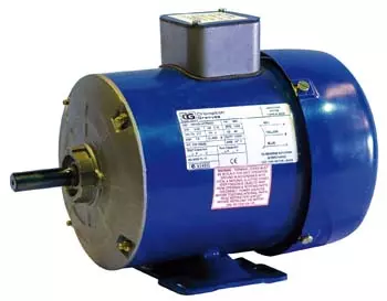 Buy CG Power Three Phase 2 HP 4 Pole Foot Mounted Induction Motor GF6852 Online in India at Best ...