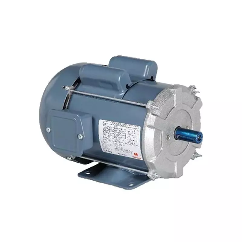 Buy Havells Single Phase 0.25 HP 4 Pole ACW Mounting Induction Motor ...
