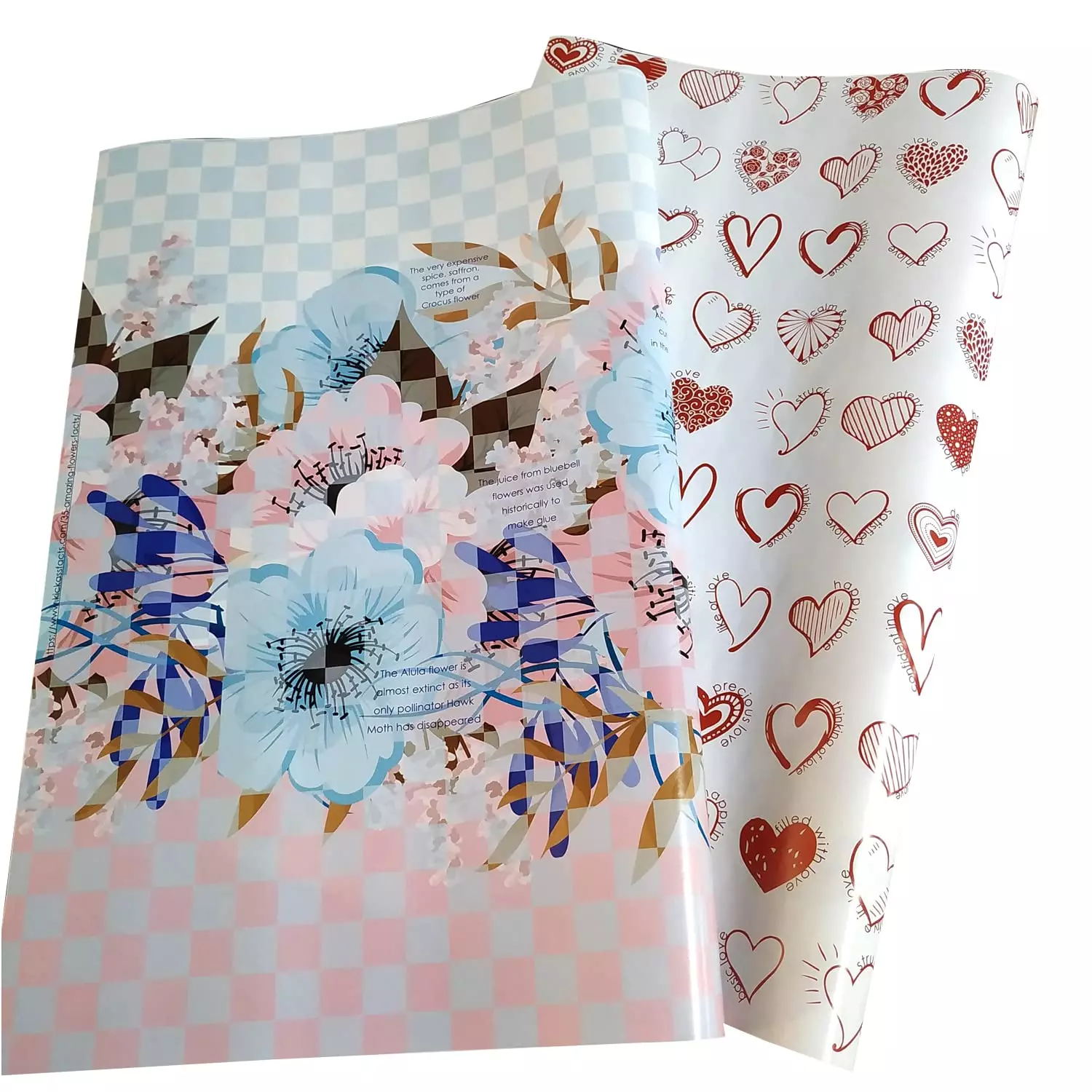 Buy eVincE - thoughtful PRESENTations HART01FLOW01_5X2 Valentine ...