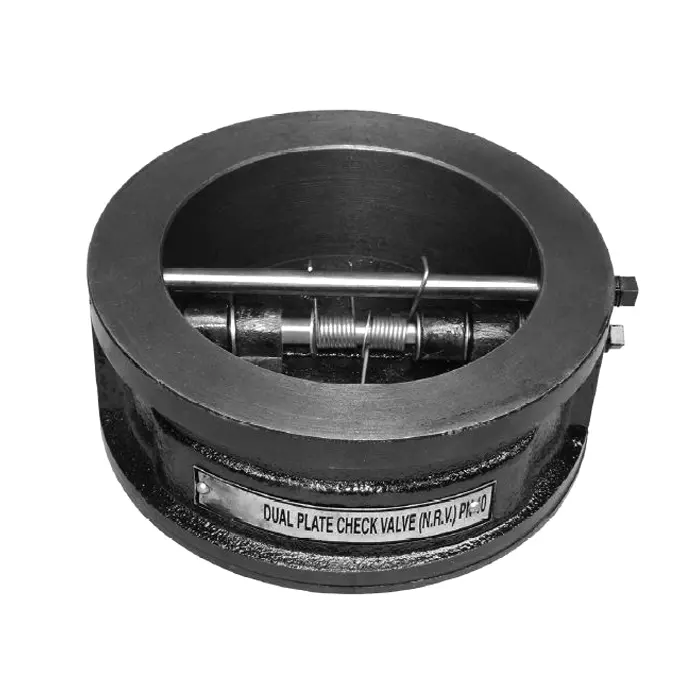 Buy Honeywell DN65 PN16 Cast Iron Dual Plate Check Valve BSV4-CWD-GP16 ...
