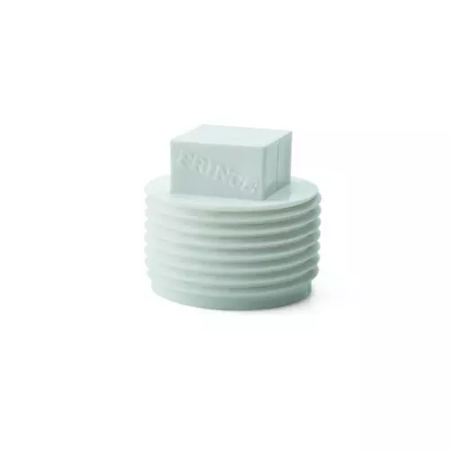 Buy Prince Easyfit 1 inch UPVC SCH 80 Threaded End Plug, IM100830 ...