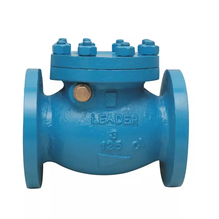 Buy Leader CI 017 Cast Iron X Swing Check Valve Class - 125 Online in ...