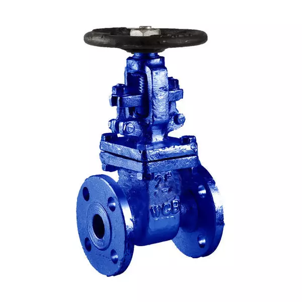 Buy Racer 12 Inch, 300 mm Cast Steel Wheel Operated Gate Valve Online ...
