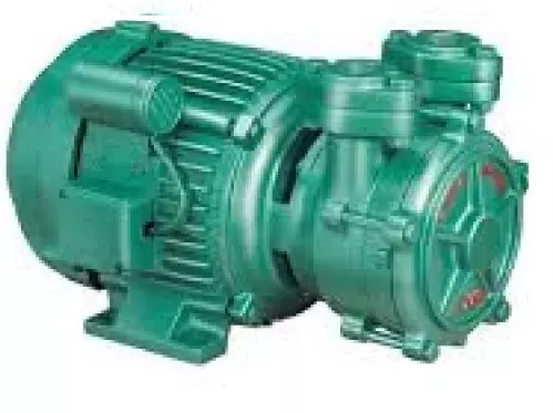Buy Texmo 1 HP DMS 03 Domestic Water motor pump Online in India at Best Prices