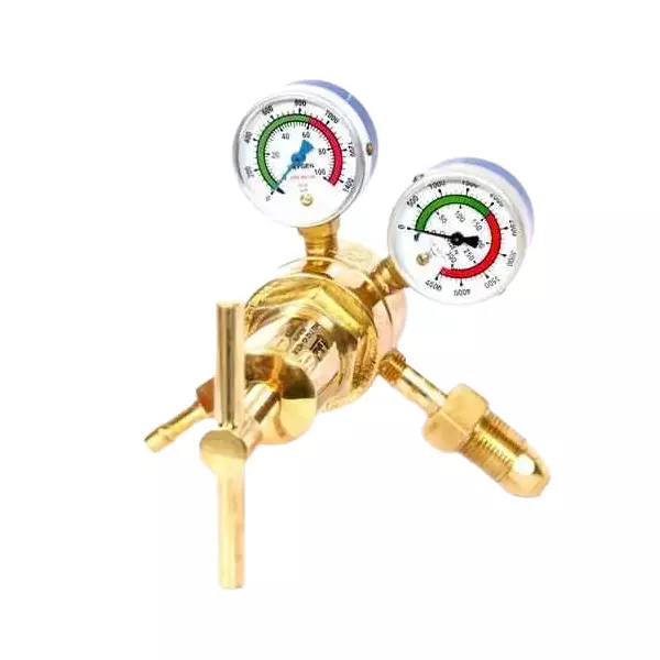 Buy Asha AOX-1 Single Oxygen Single Meter Regulator Online in India at ...