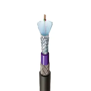 Buy Belden 22 AWG 1 Pair Core Twinaxial Cable 100 m Online in India at ...