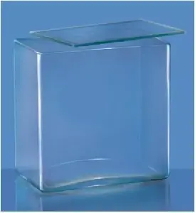 Buy Abgil Clear Glass Rectangular Specimen Jar with Glass Cover Lid ...