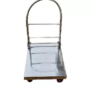 Buy Rimsha 75 cm 304 Stainless Steel Industrial Platform Trolley Silver ...