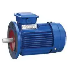 Buy CG Power Single Phase 2 Pole Flange Mounted Rolled Sheet Body ...