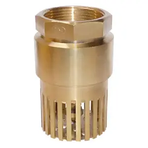 Buy DRP 3 Inch G.M. Brass Foot Valves Screwed Online in India at Best ...